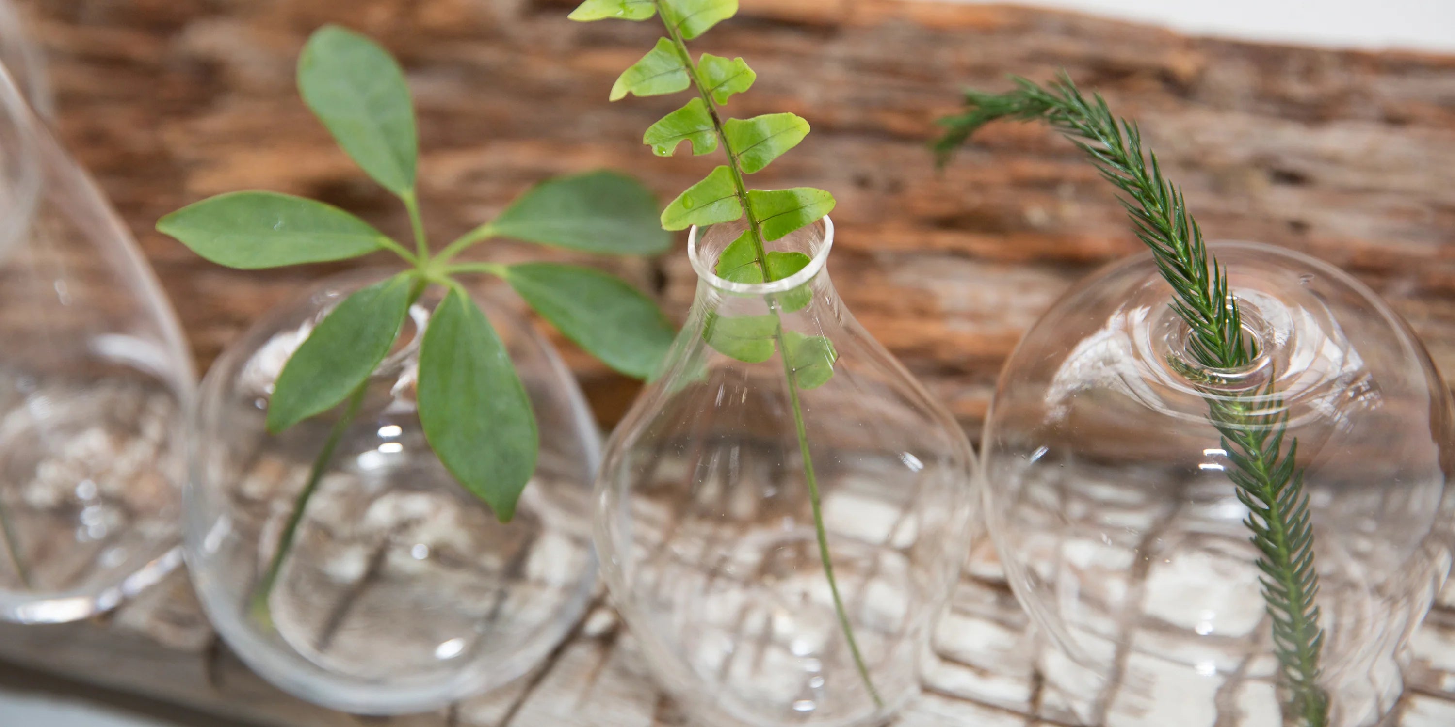 Spring & Summer – Glass Academy
