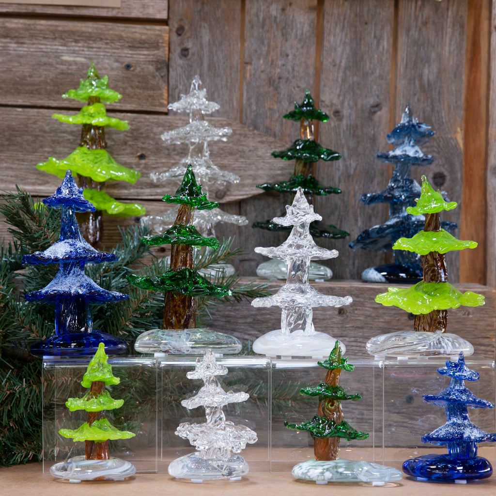 Pine Trees – Glass Academy